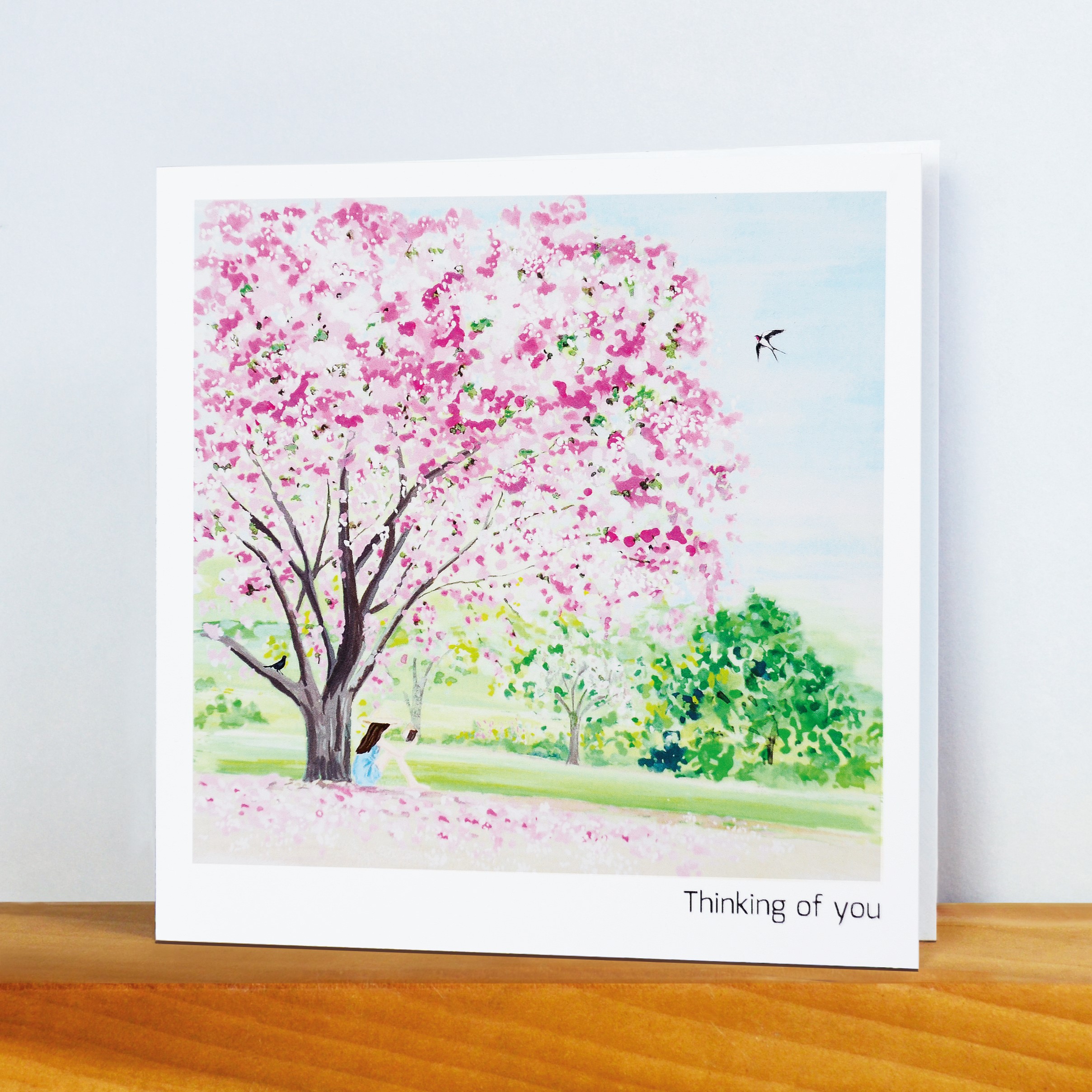 Essential card collection - Macular Society