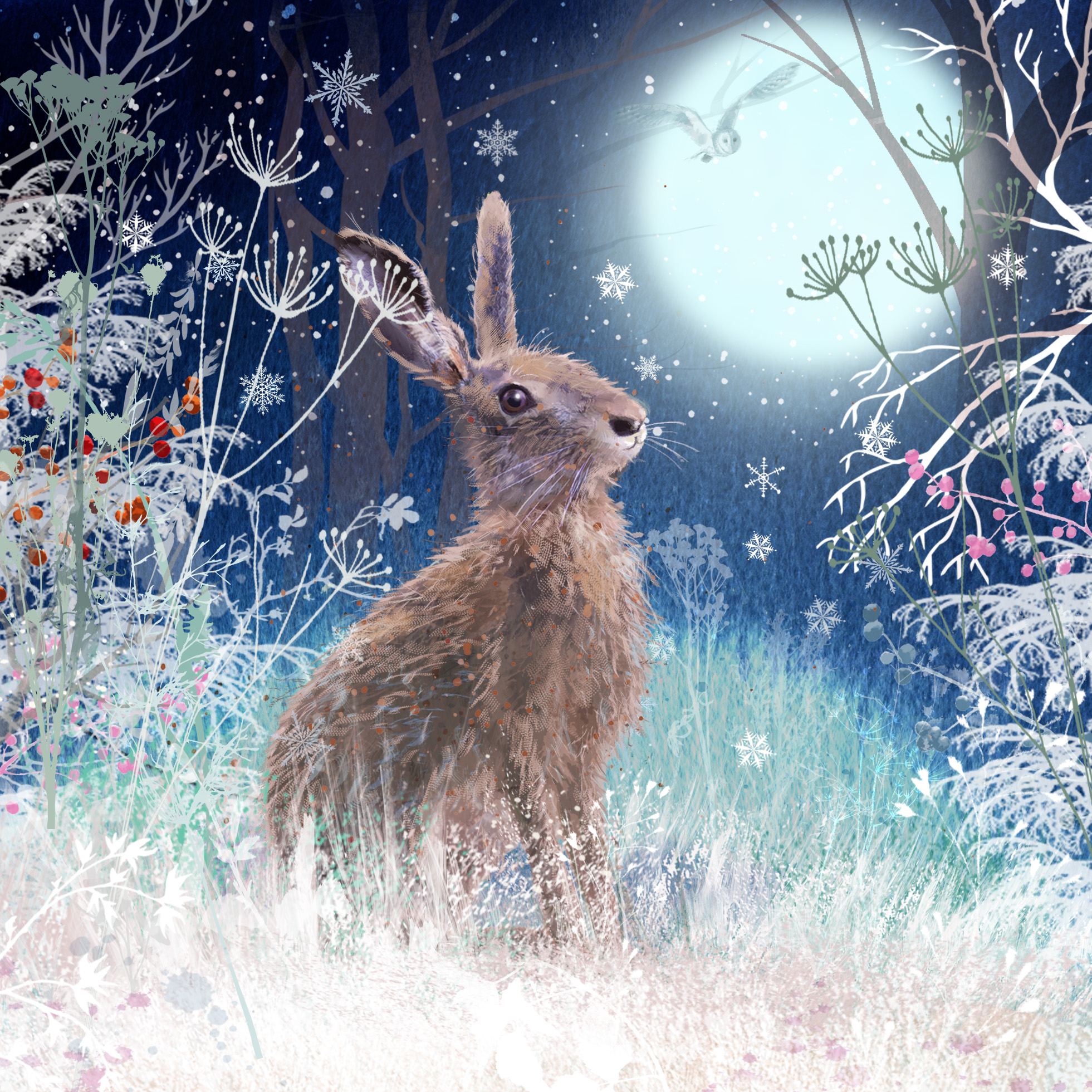 Moonlight Hare - Macular Society