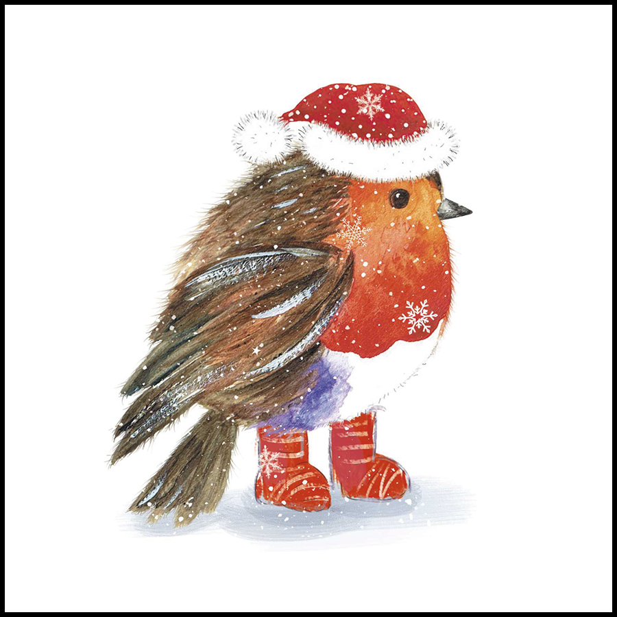 Red wellies robin - Macular Society