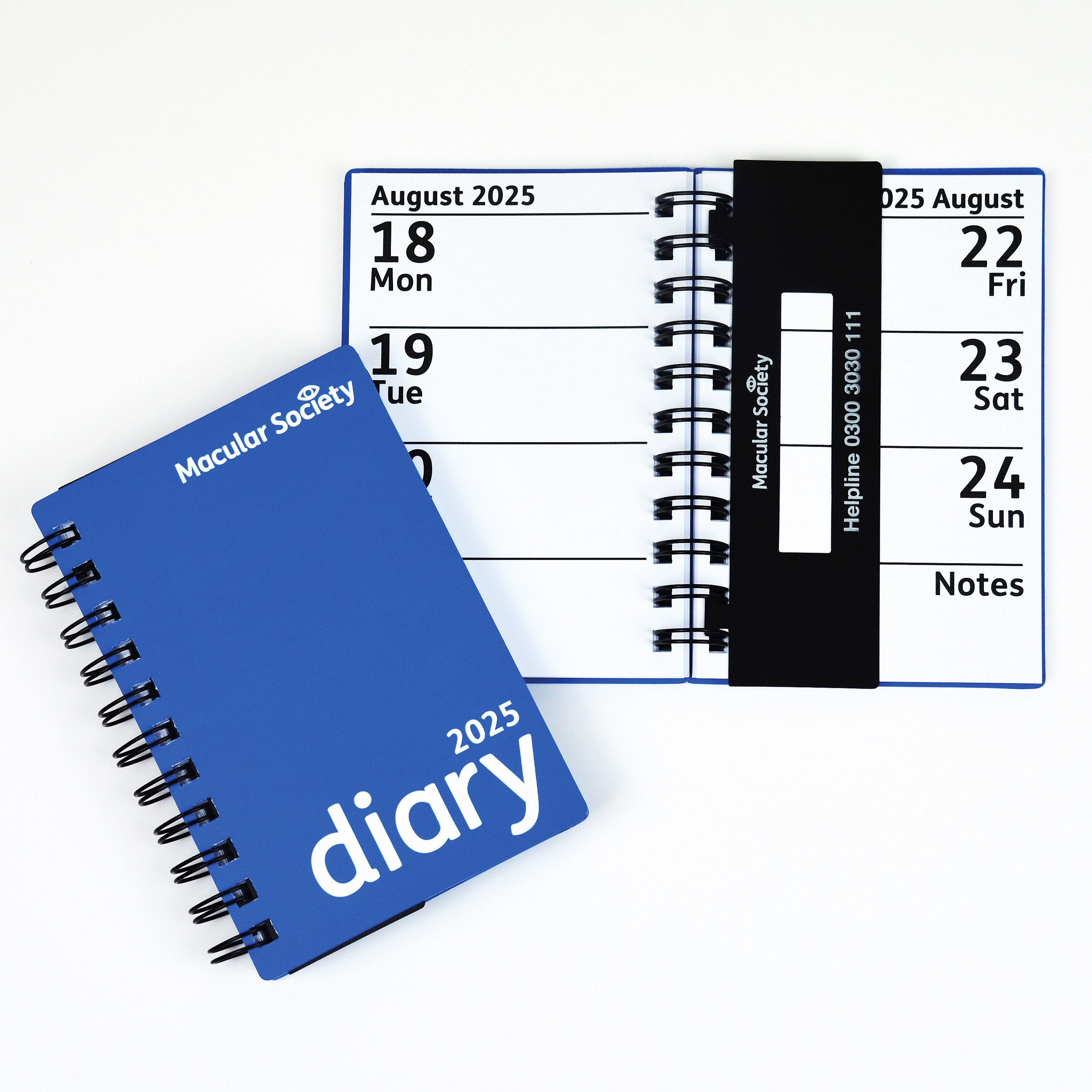 Large print 2025 blue diary - Macular Society
