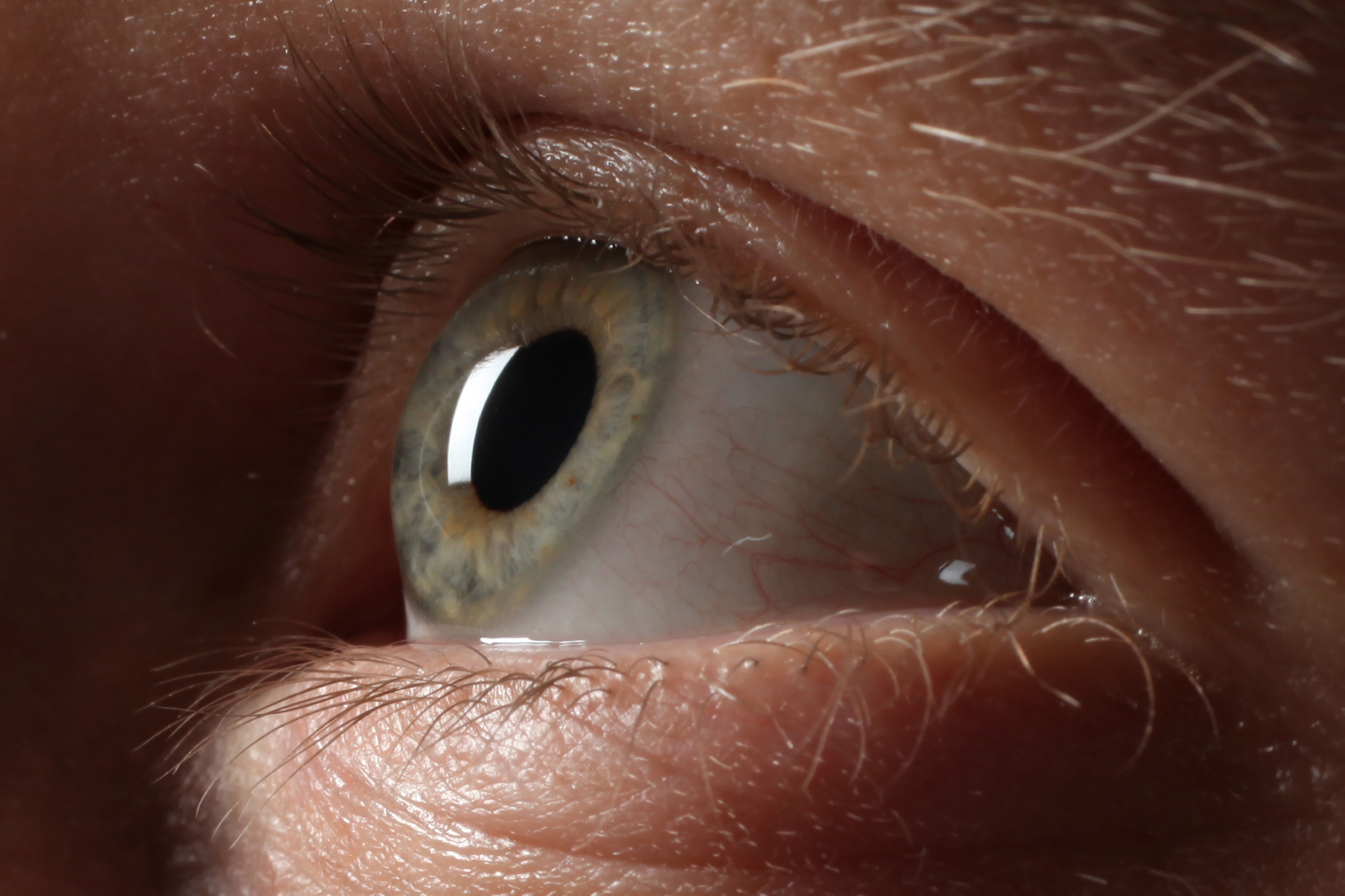 Look out for any changes in your eyesight - Macular Society