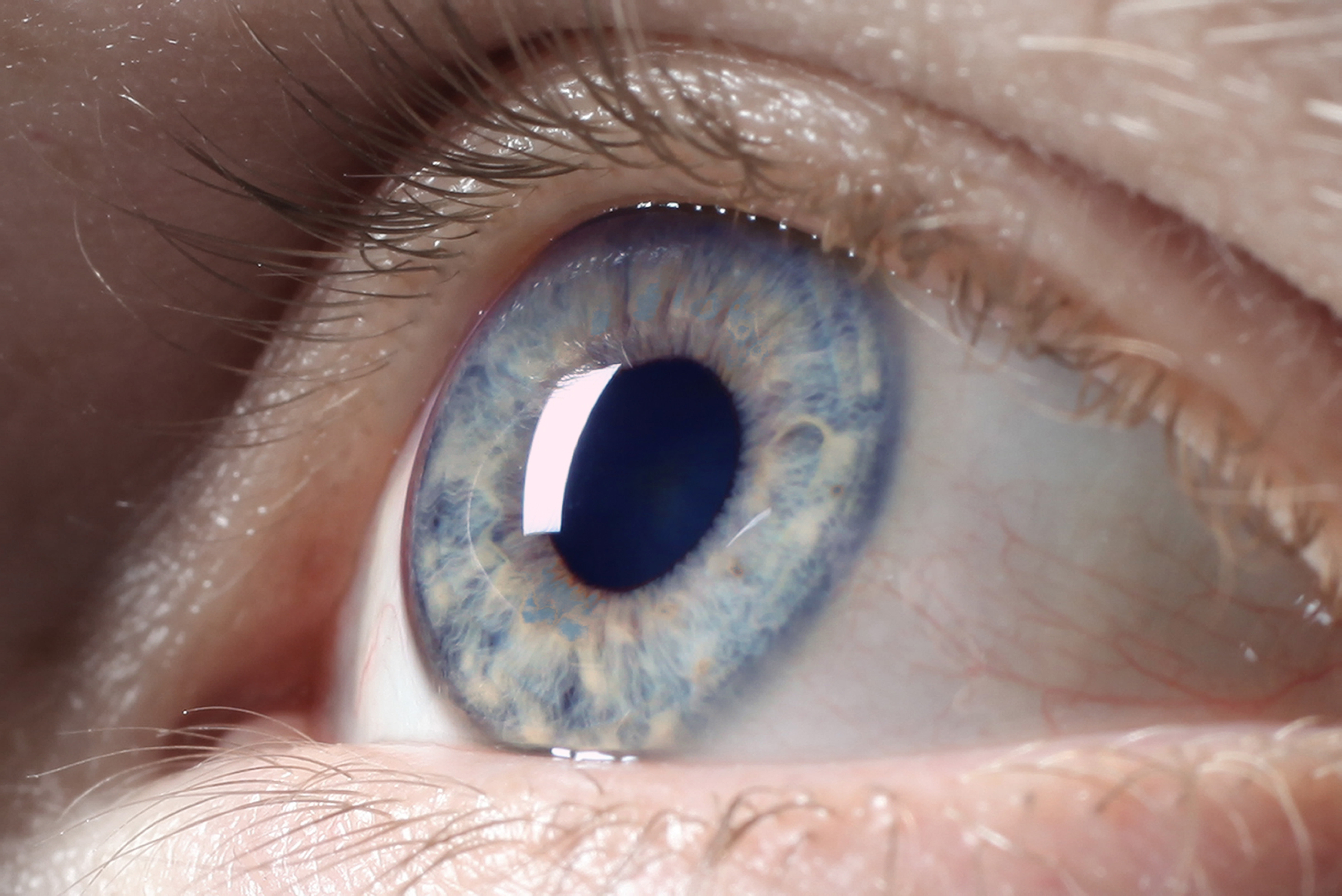 Encouraging results from light therapy study for dry AMD - Macular Society